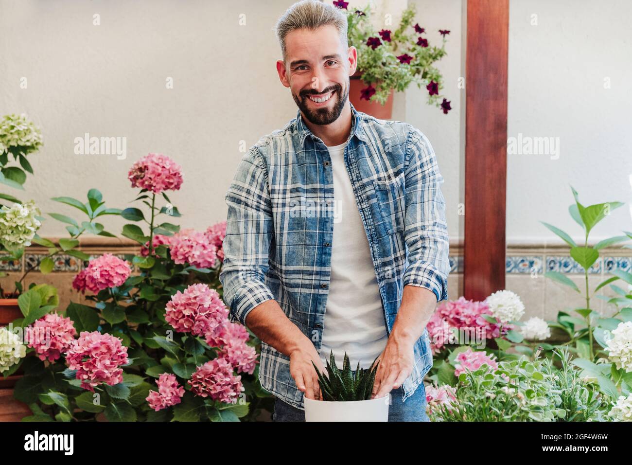 Smiling handsome man planting at backyard Stock Photo - Alamy