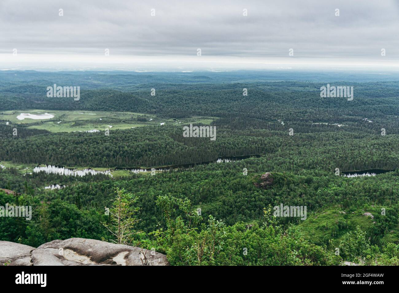 View on the Valin river, the forest on a cloudy day from the top of Pic ...