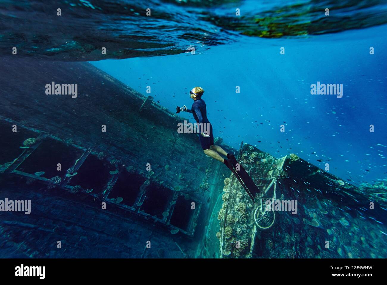 Man flippers hi-res stock photography and images - Alamy