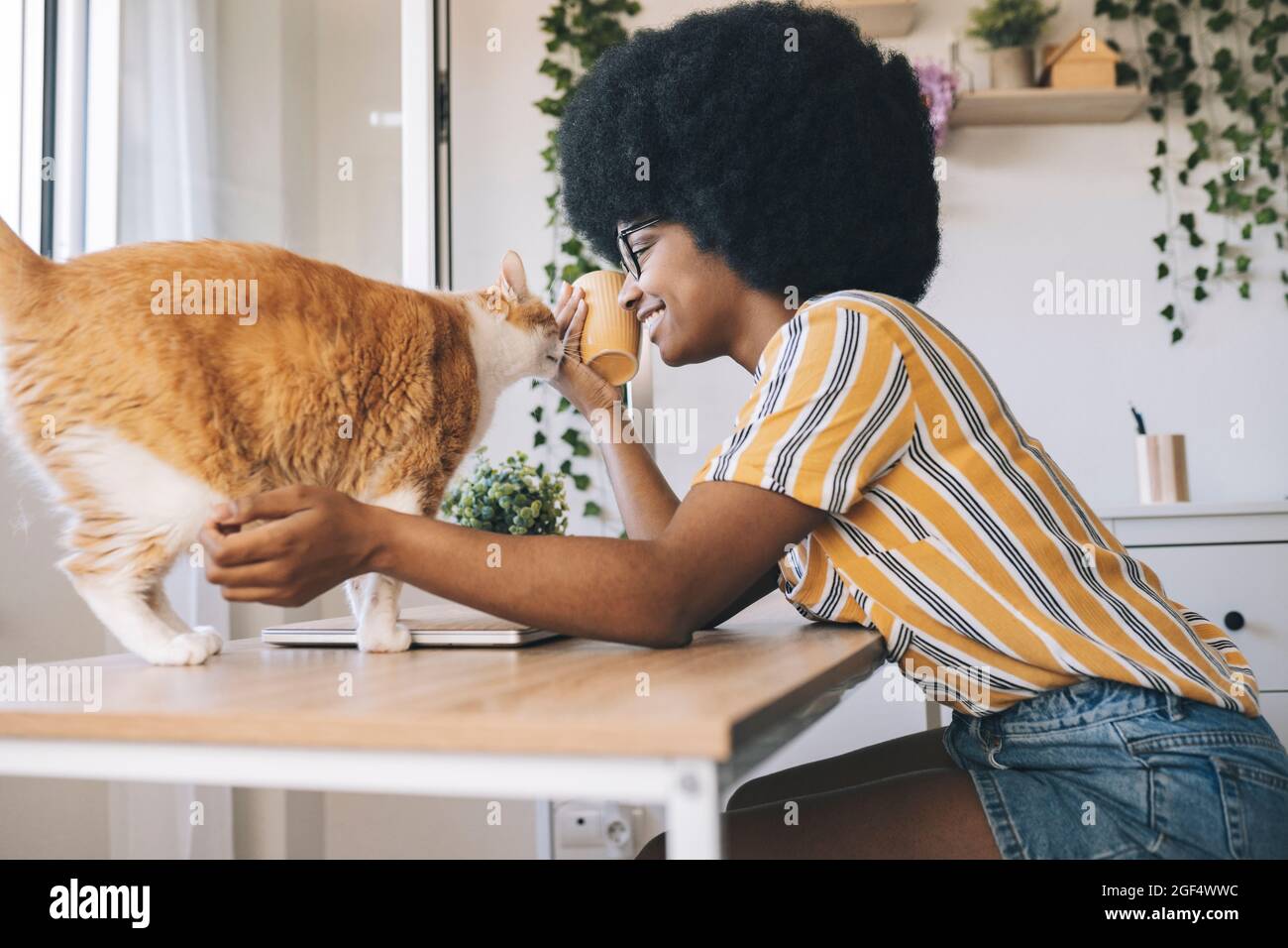 African american woman with pet cat hi-res stock photography and images ...