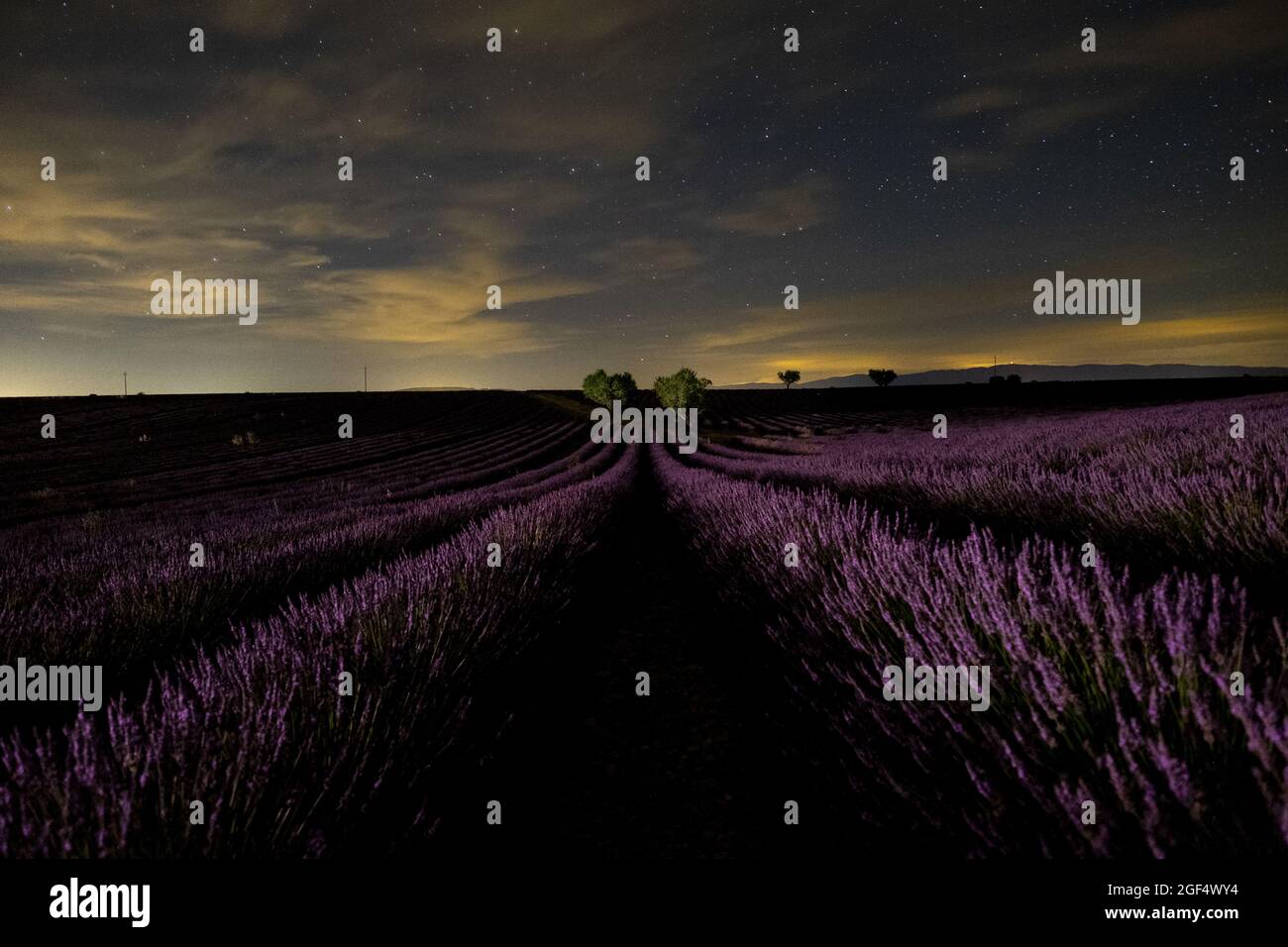 Crop field at night hi-res stock photography and images - Alamy