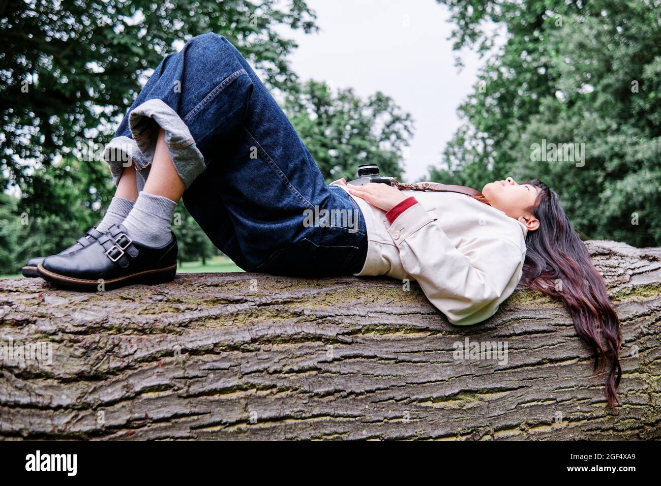 Lying on the tree hi-res stock photography and images - Alamy
