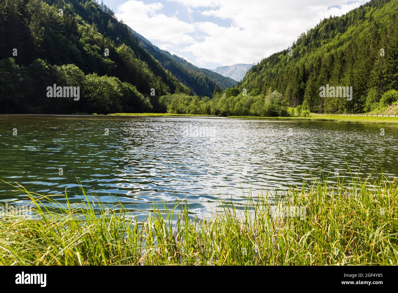 Green lake grüner in hi-res stock photography and images - Alamy