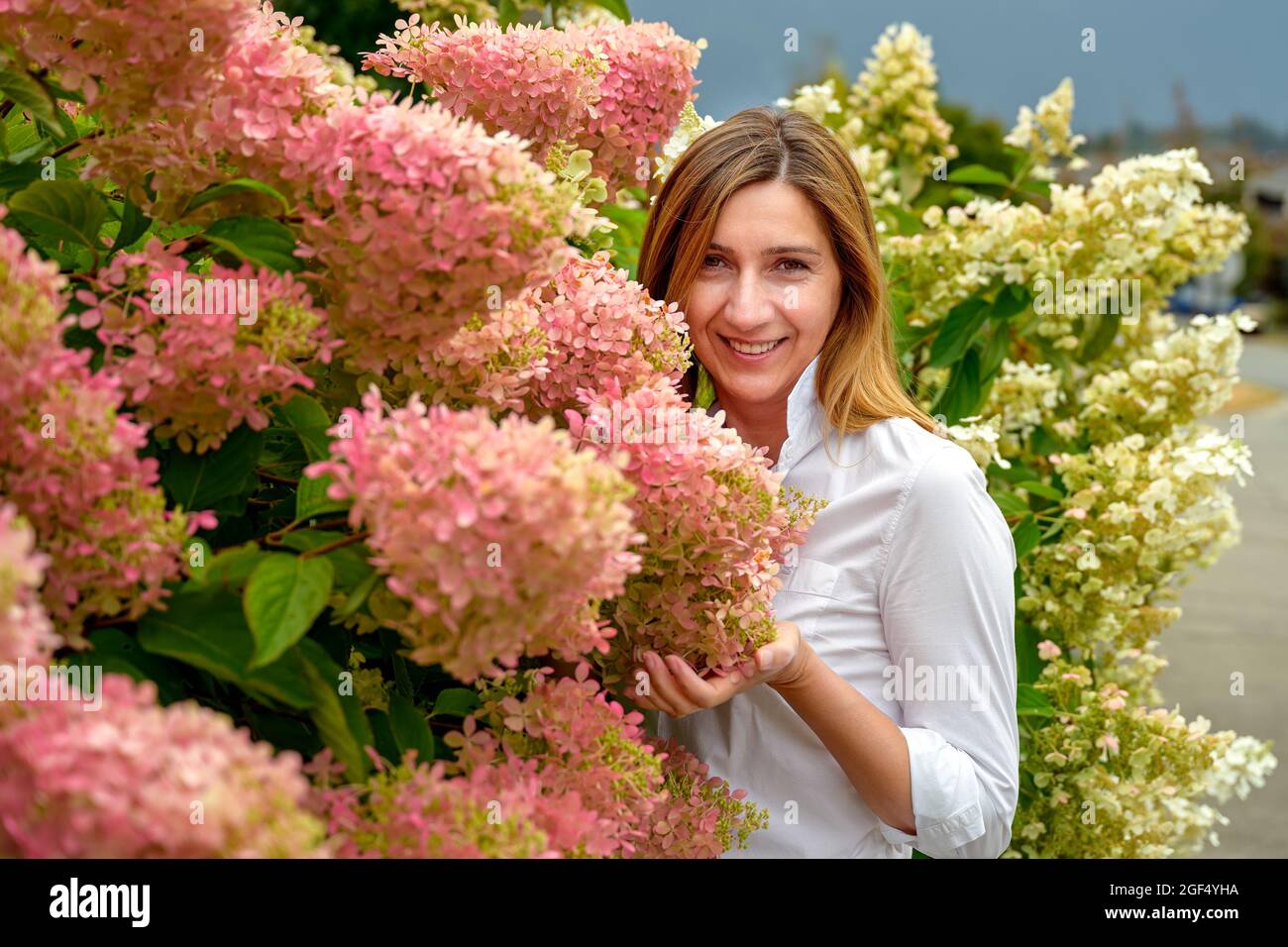 Contentedly High Resolution Stock Photography and Images - Alamy