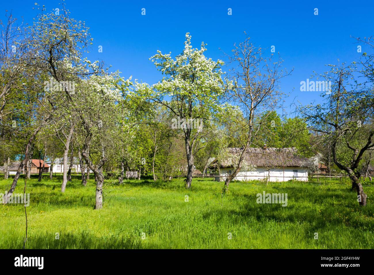 Authentic cottage hi-res stock photography and images - Alamy