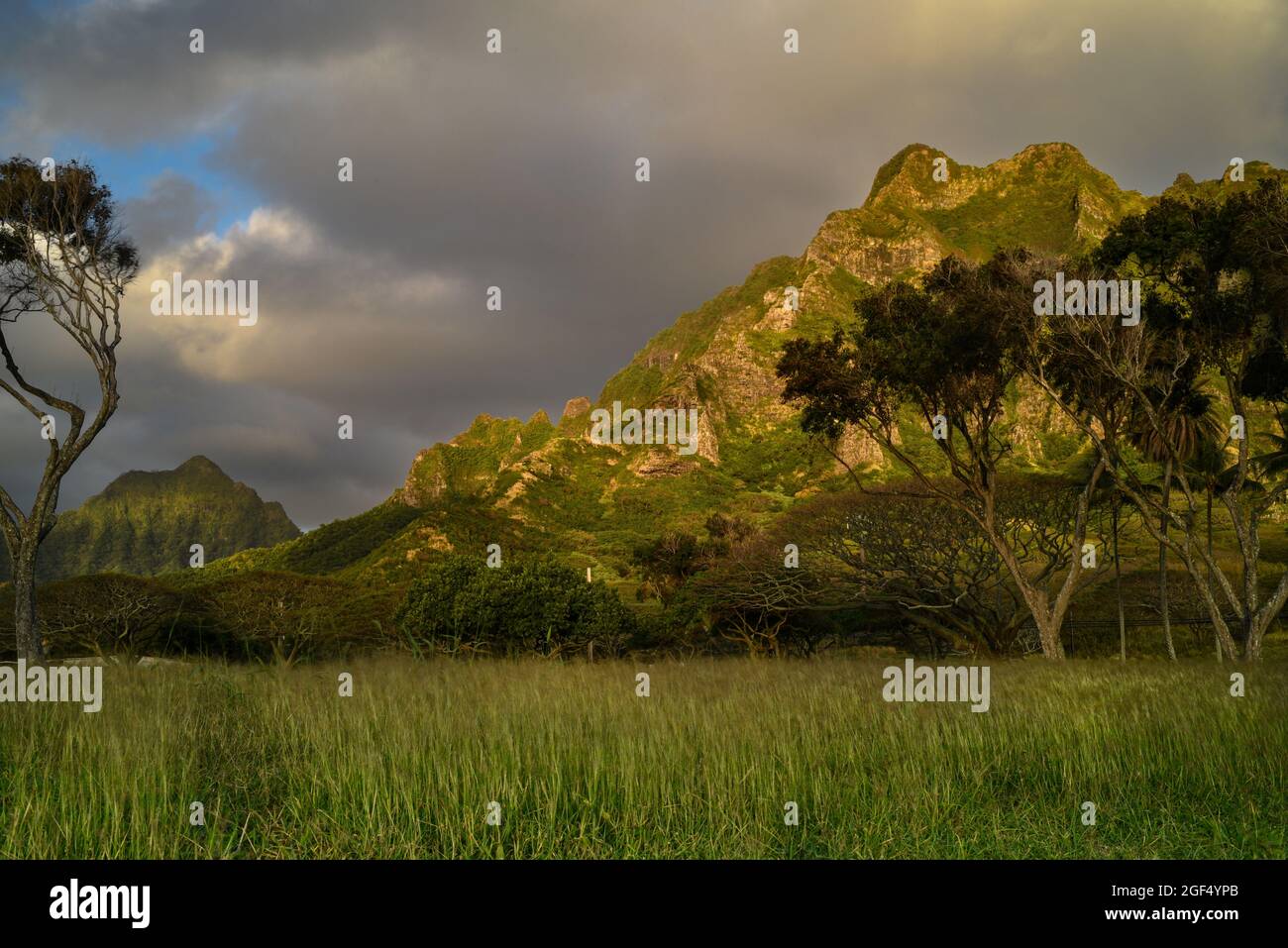 Spectacular, early morning, sunrise-lit mountains at Kualoa Ranch ...