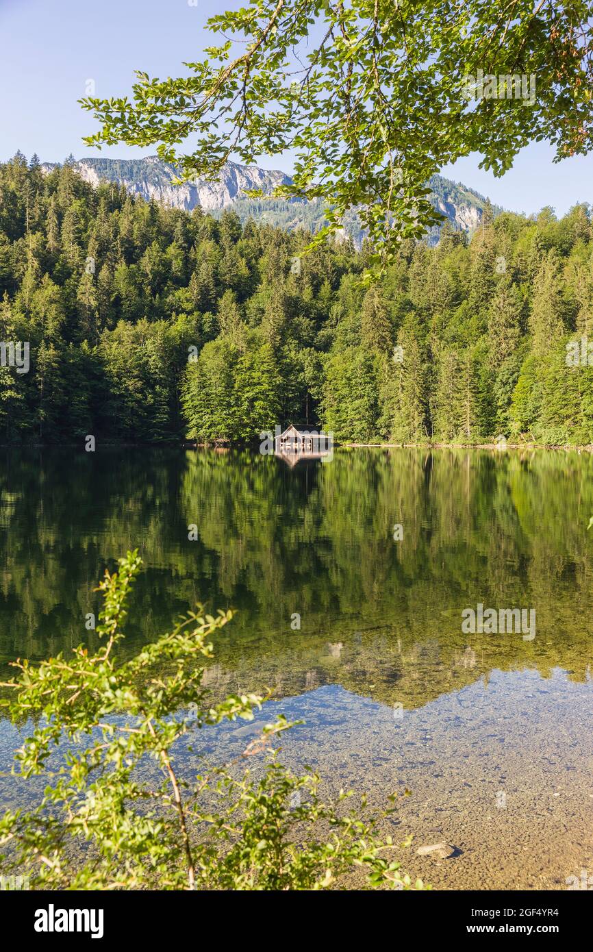Lake Toplitz reflecting surrounding forest in summer Stock Photo - Alamy
