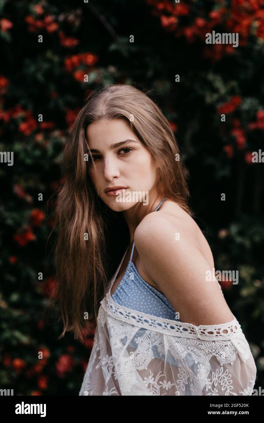 Transparent top hi-res stock photography and images - Alamy