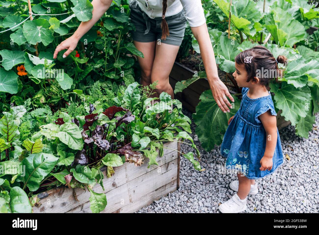 Mother searching while standing with daughter at vegetable garden Stock ...