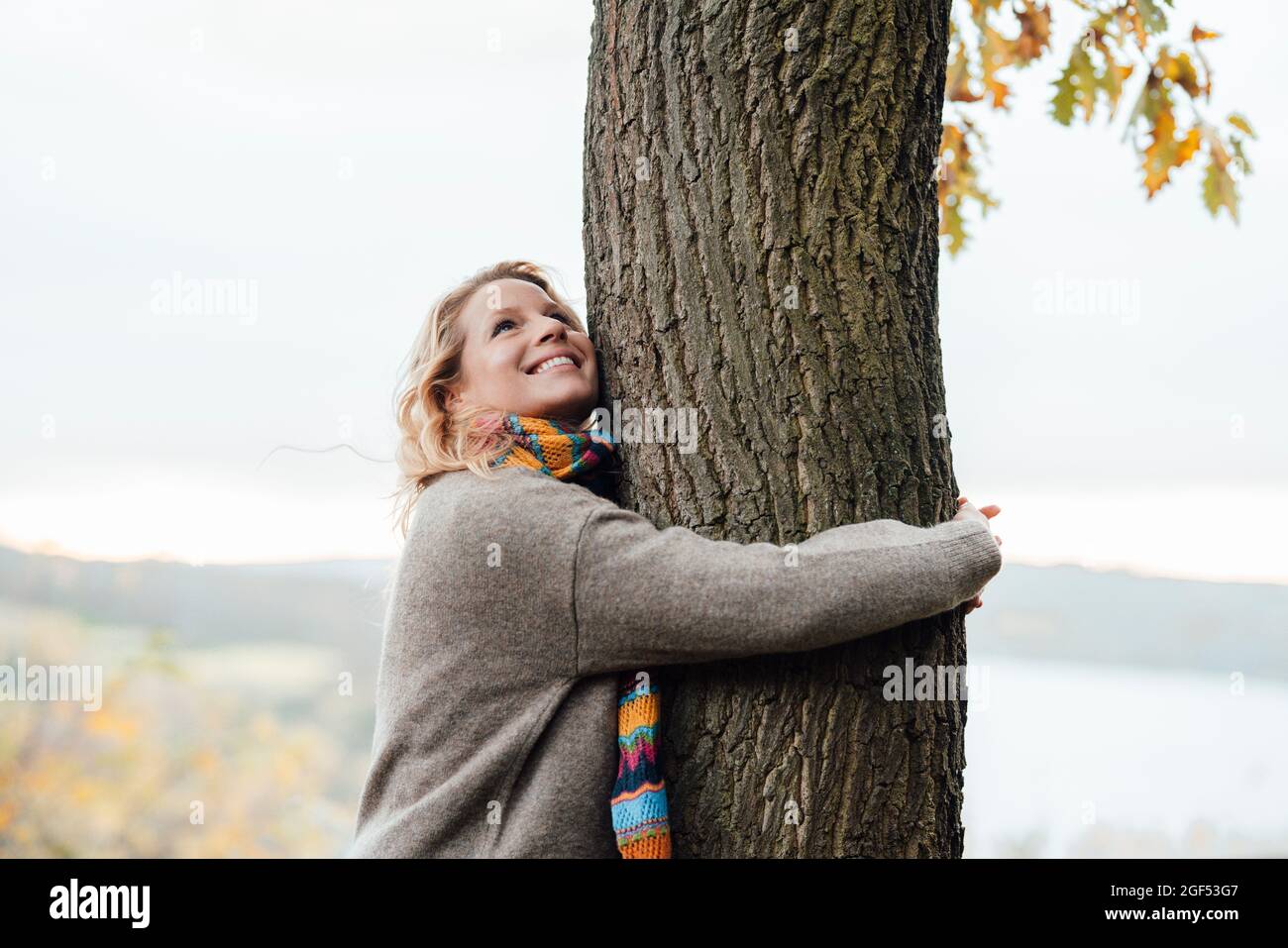 Tree hugging autumn hi-res stock photography and images - Alamy