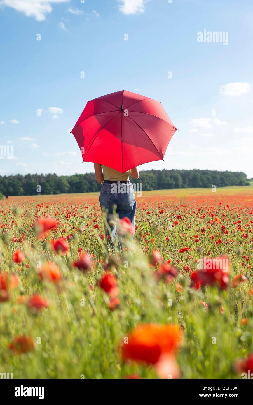Girl with red umbrella in poppy field Stock Photo - Alamy