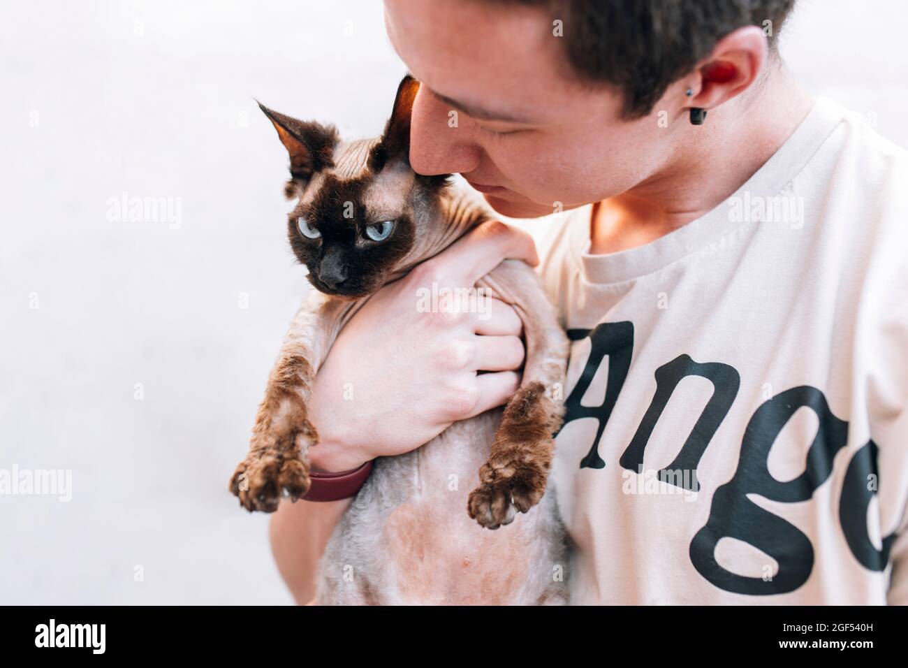 Cat owner and cat hi-res stock photography and images - Alamy