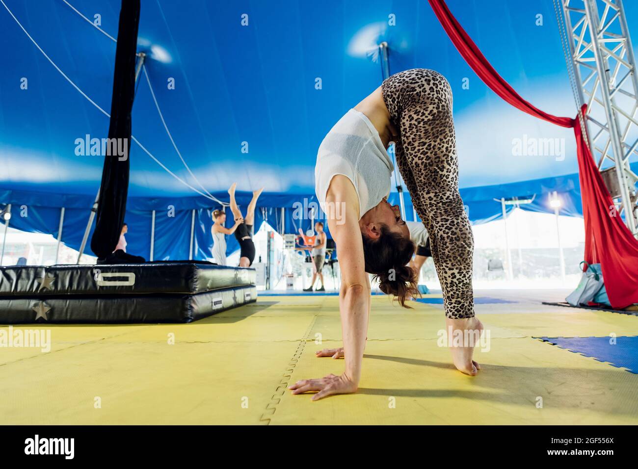 Bending forward hi-res stock photography and images - Alamy