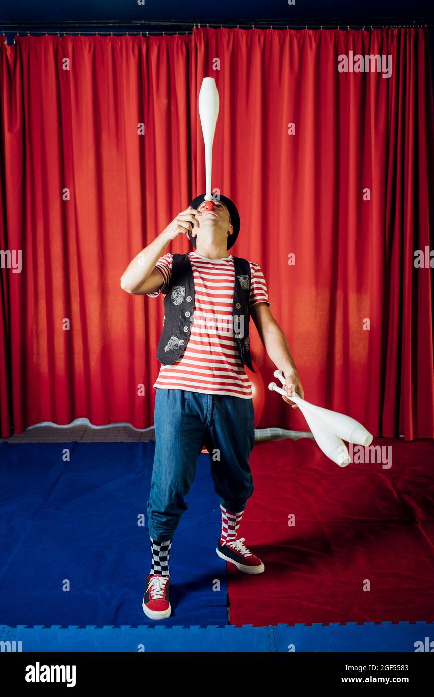 Male clown balancing juggling pin on nose in circus Stock Photo - Alamy