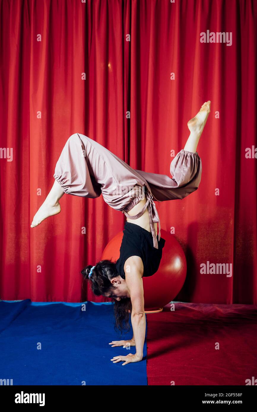 Female acrobat doing handstand on circus stage Stock Photo - Alamy