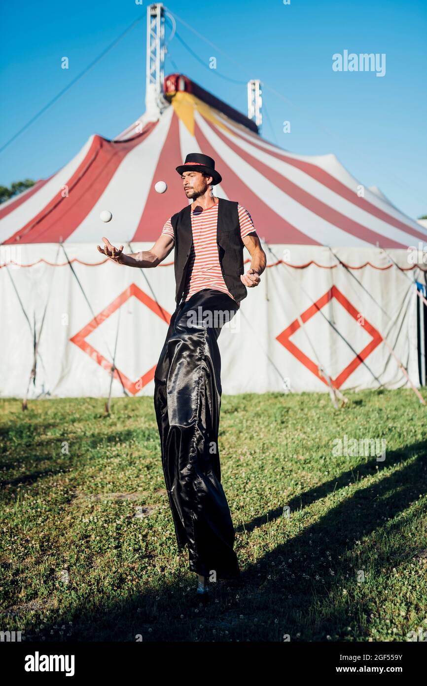 Male circus performer juggling balls while standing with stilts on ...
