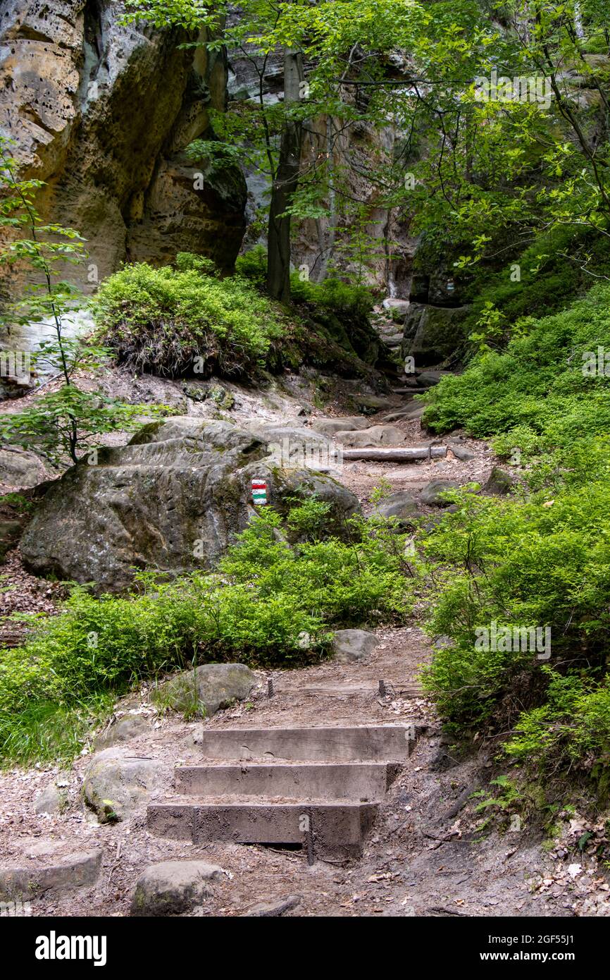 Hiking trail with stairs between rocks in the forest Stock Photo - Alamy