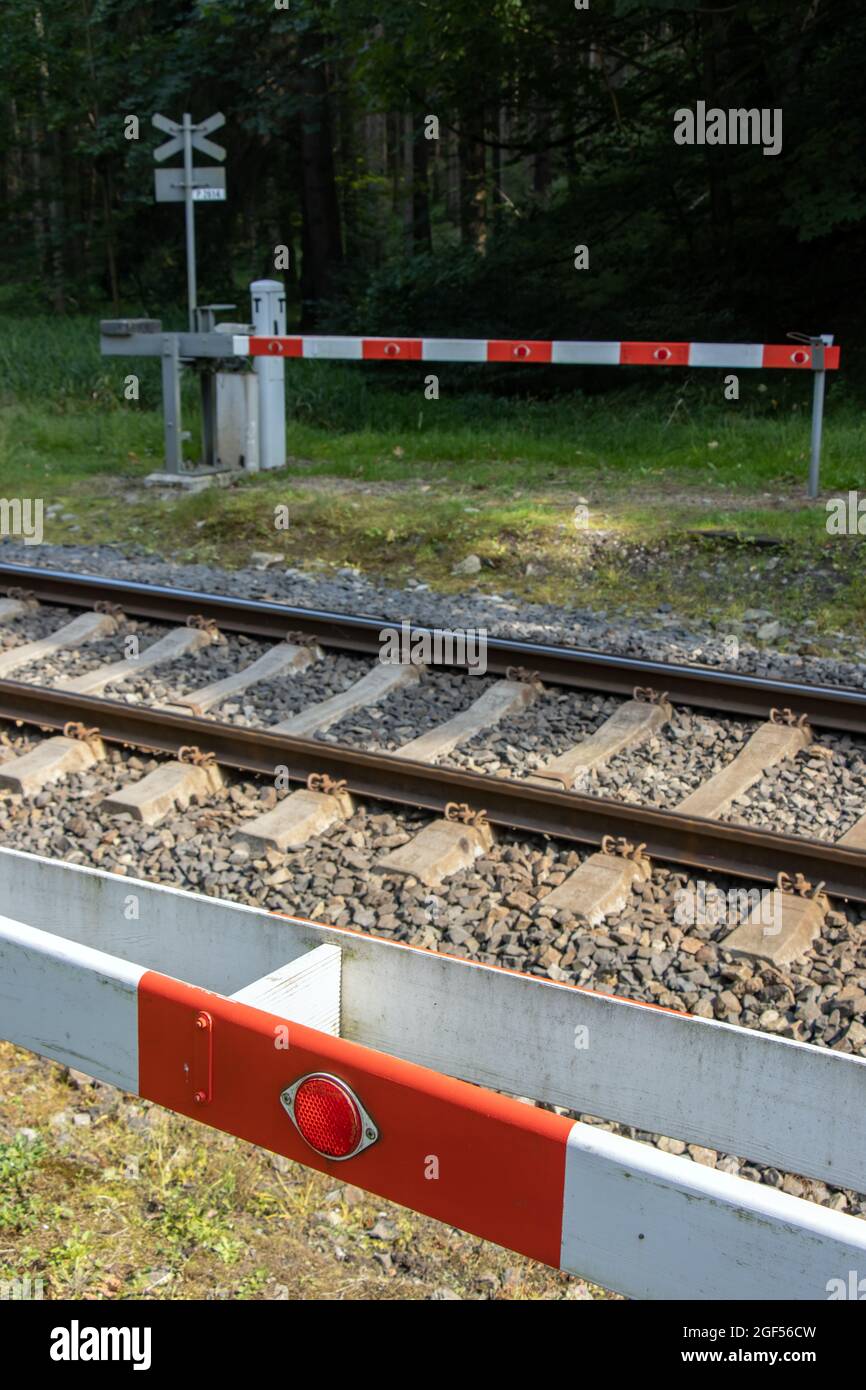 Forest footpath closed by a barrier before entering the tracks Stock ...