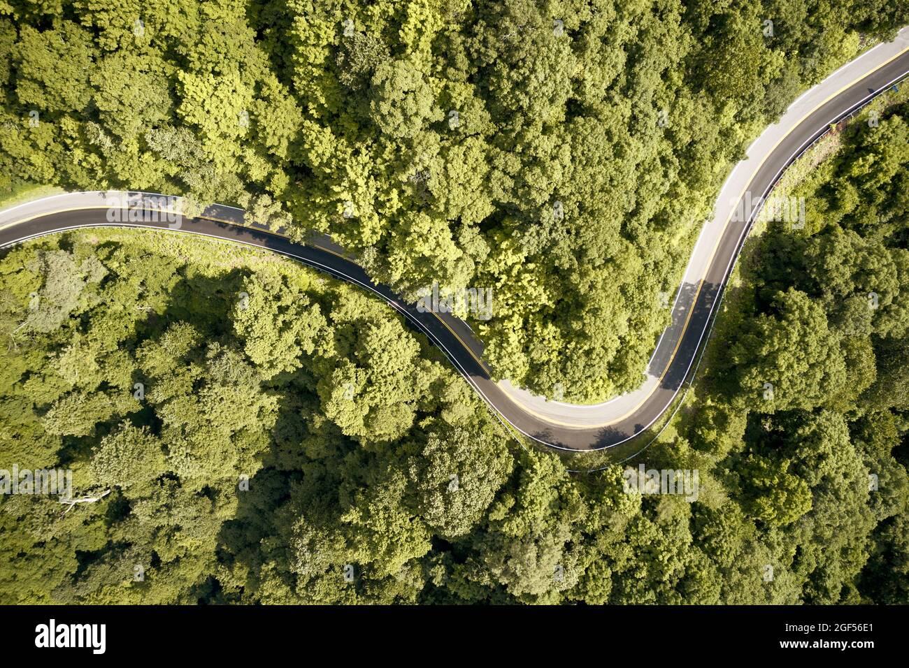 USA, Virginia, Aerial view of Back of Dragon road surrounded by green ...