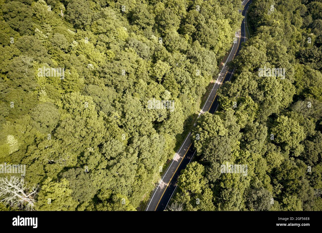 USA, Virginia, Aerial view of Back of Dragon road surrounded by green ...