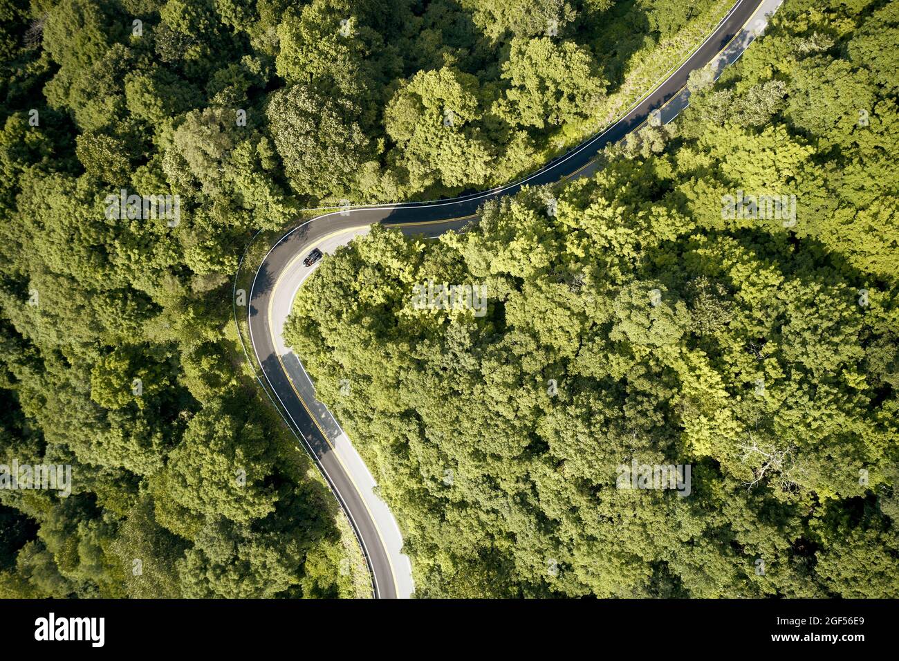 USA, Virginia, Aerial view of Back of Dragon road surrounded by green ...