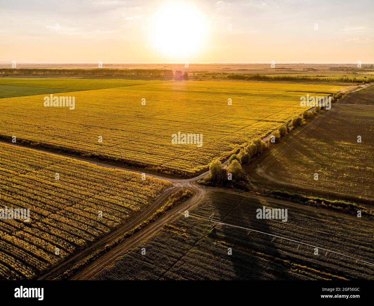 Aerial view of vast agricultural farm fields at summer sunset Stock ...