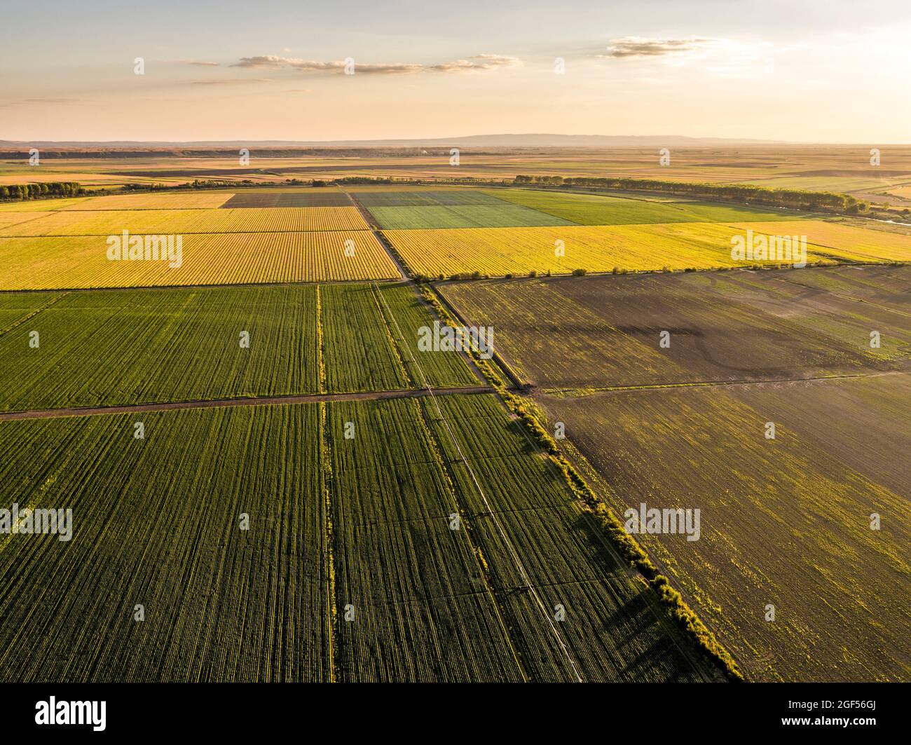 Aerial view of vast agricultural farm fields at summer sunset Stock ...