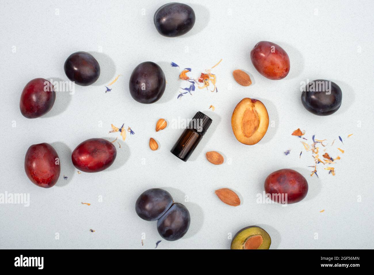 Plum kernel hi-res stock photography and images - Alamy