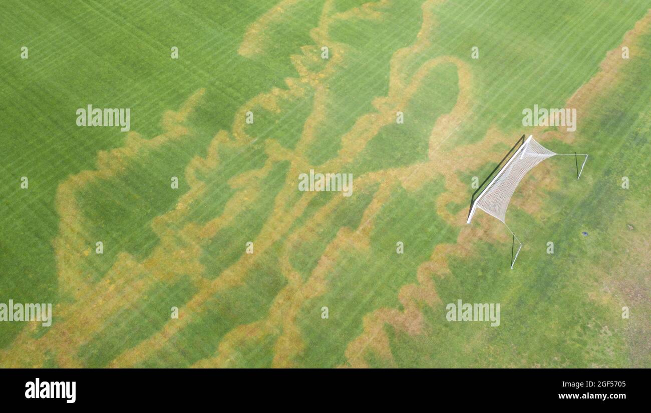 Dry dead grass patch hi-res stock photography and images - Alamy