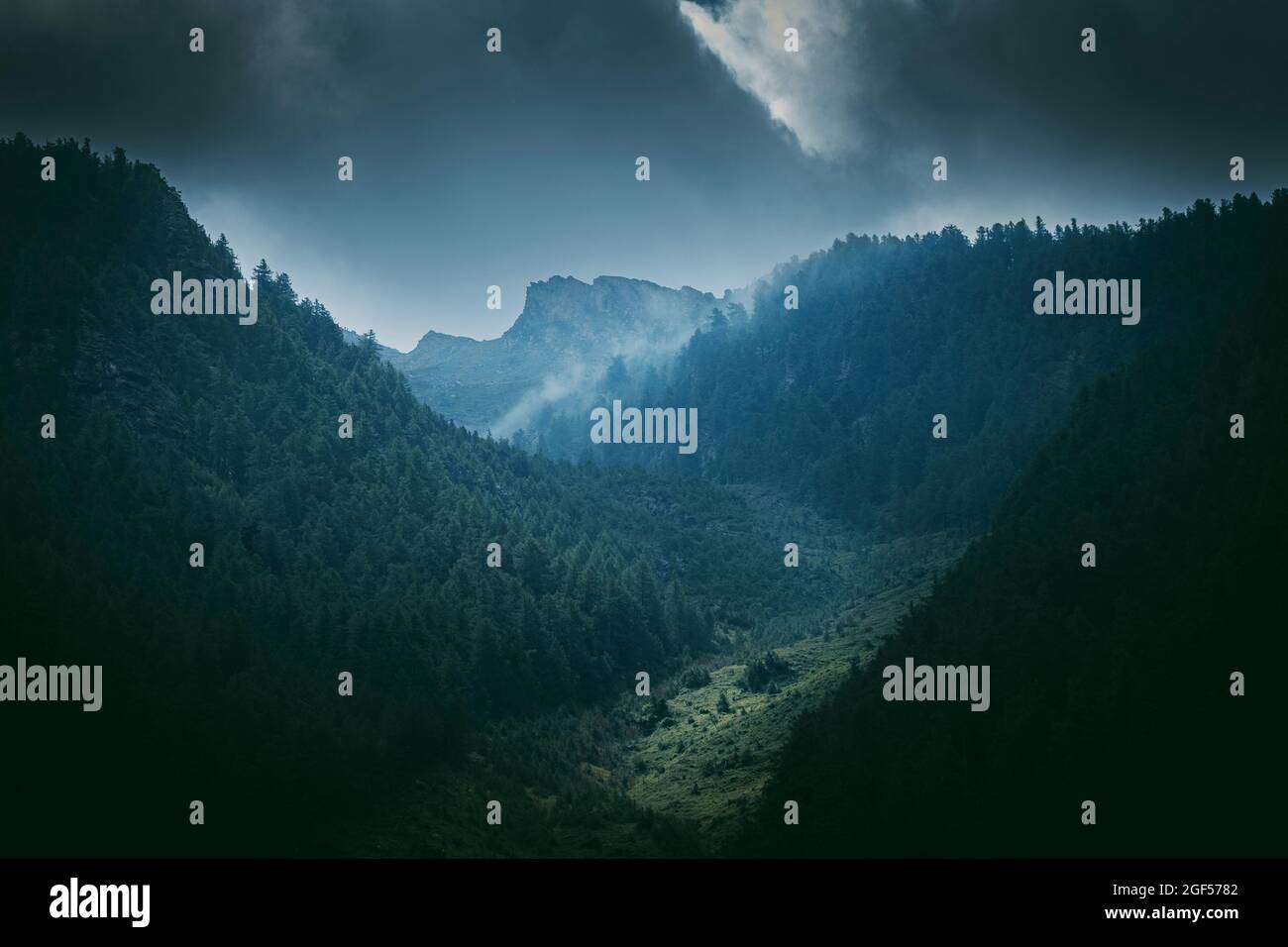 Forested mountain valley at dusk Stock Photo - Alamy