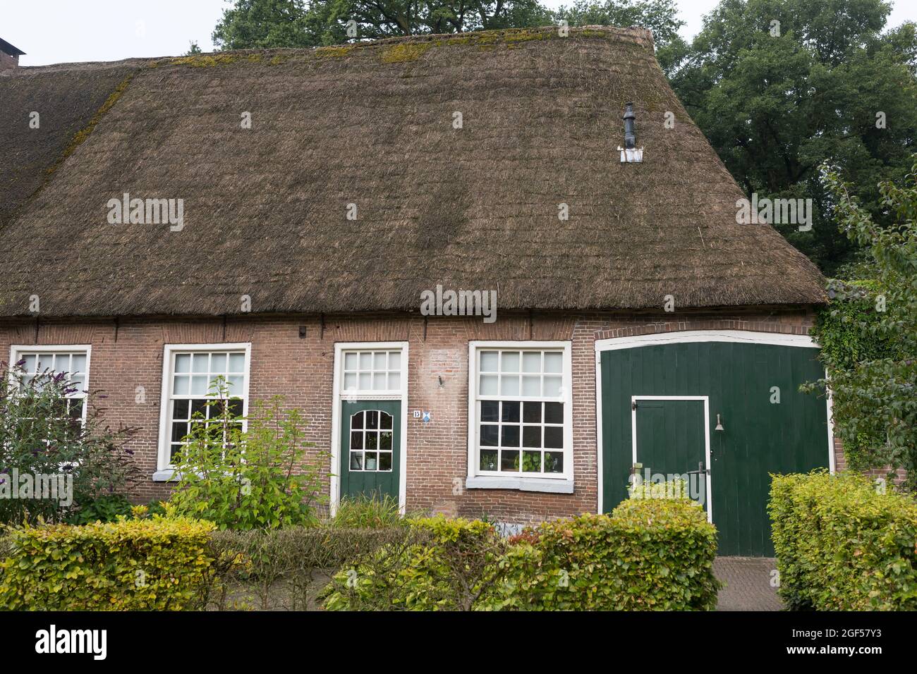 Historical Saxon farm with a thatched roof in the province Drenthe ...