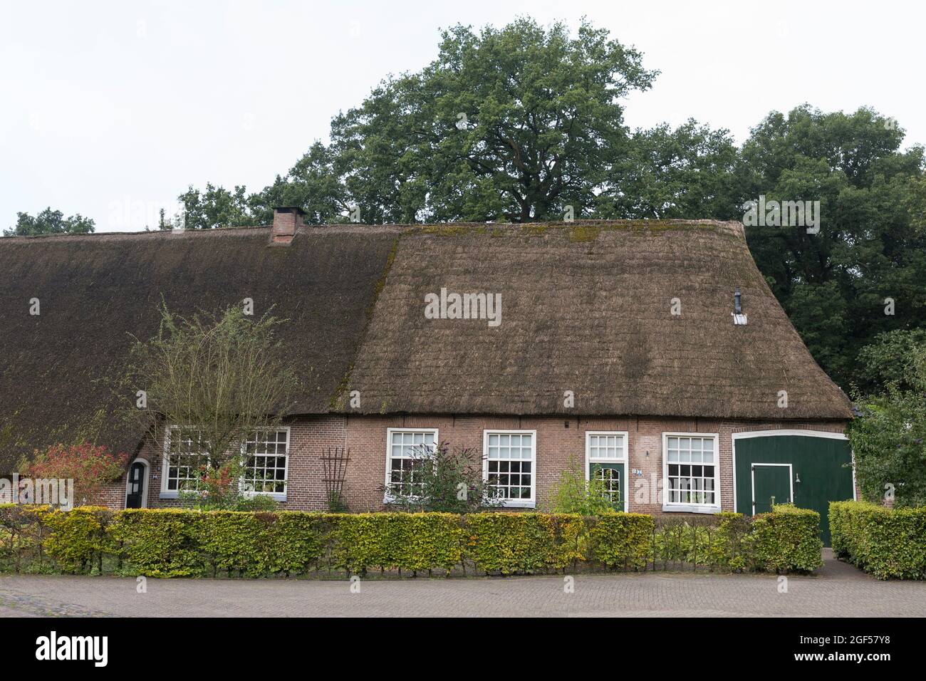 Historical Saxon farm with a thatched roof in the province Drenthe ...