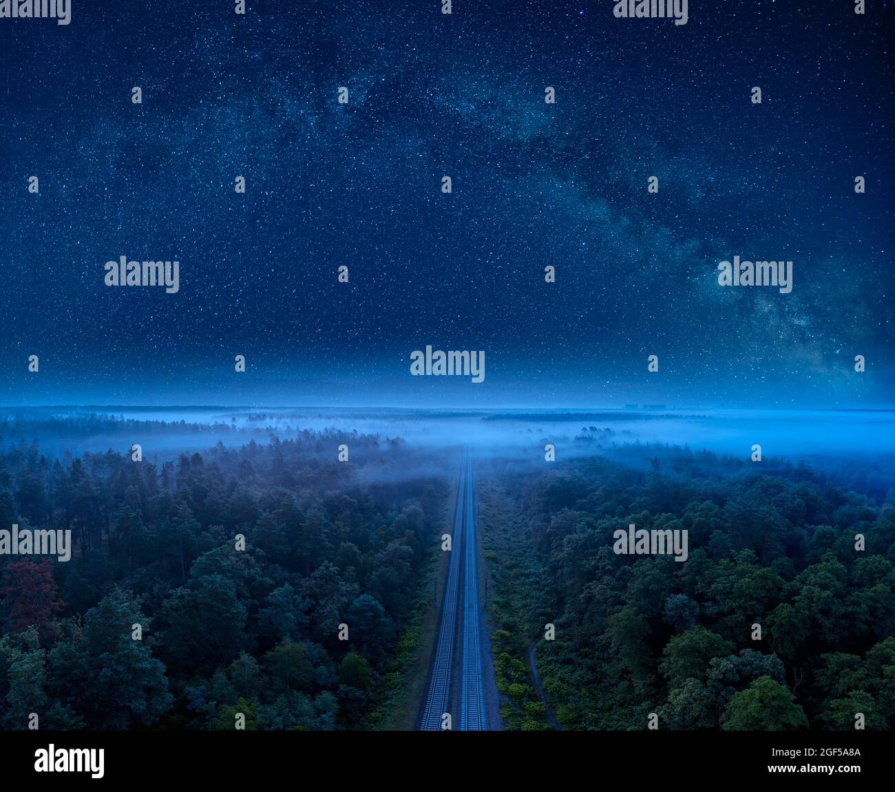 Wonderful summer night landscape, starry sky and pine forest, through ...