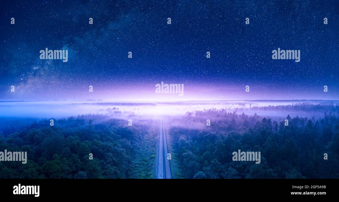 Wonderful summer night landscape, starry sky and pine forest, through ...