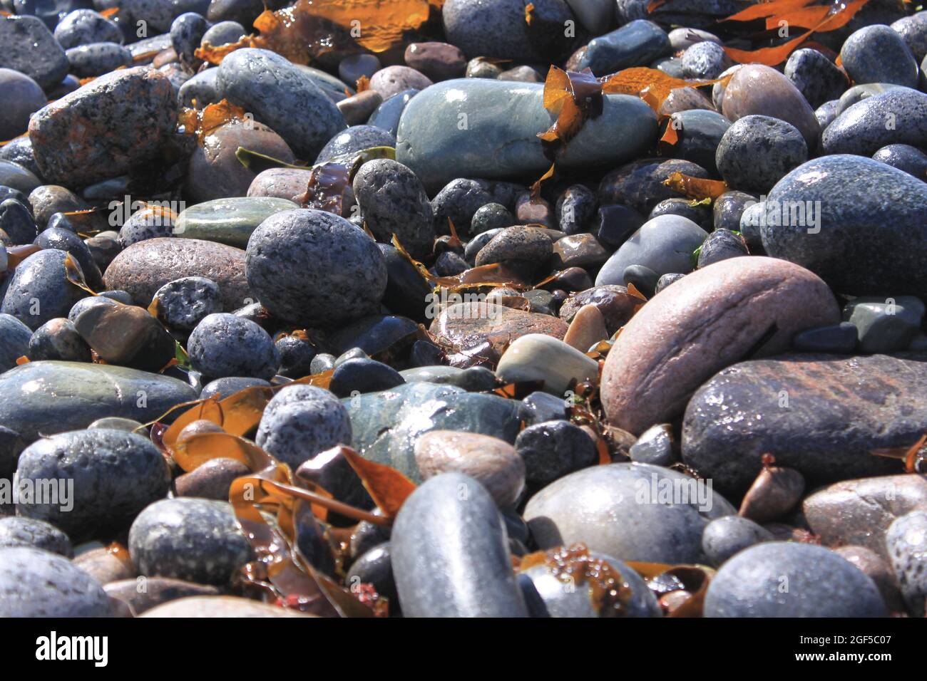 Seashore geology hi-res stock photography and images - Alamy