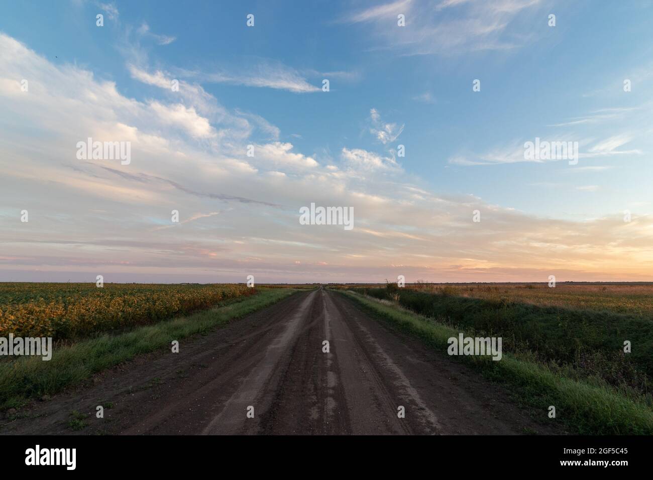 A wide angle landscape shot of an open dirt road among agricultural ...