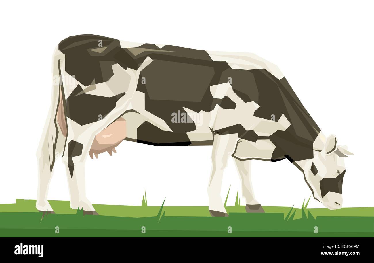 Cow vector. Milk, dairy products. Holstein cattle. Farm animal stands ...