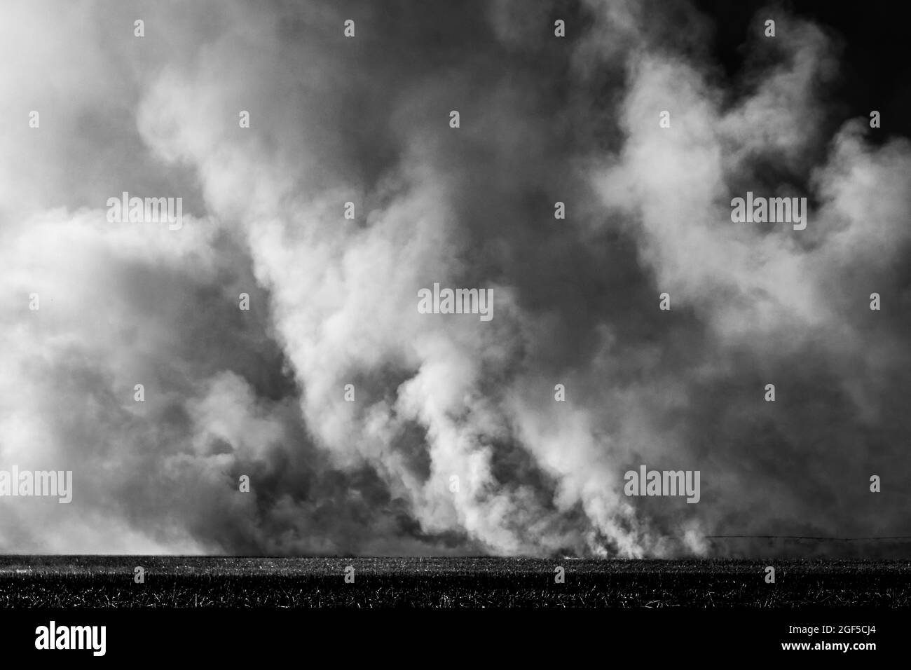 A wide angle of an agricultural field on fire, agriculture and farming ...