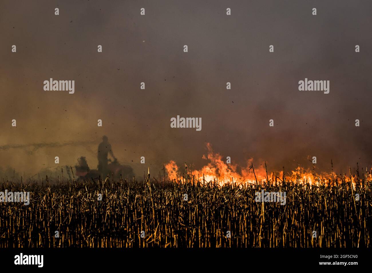 Anonymous farmer silhouette fighting fire in agricultural farming field ...
