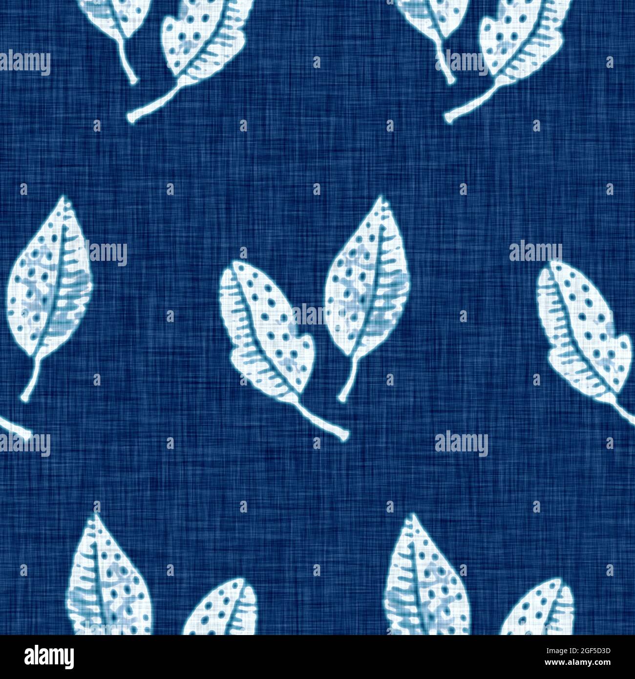 Cyanotypes hi-res stock photography and images - Alamy