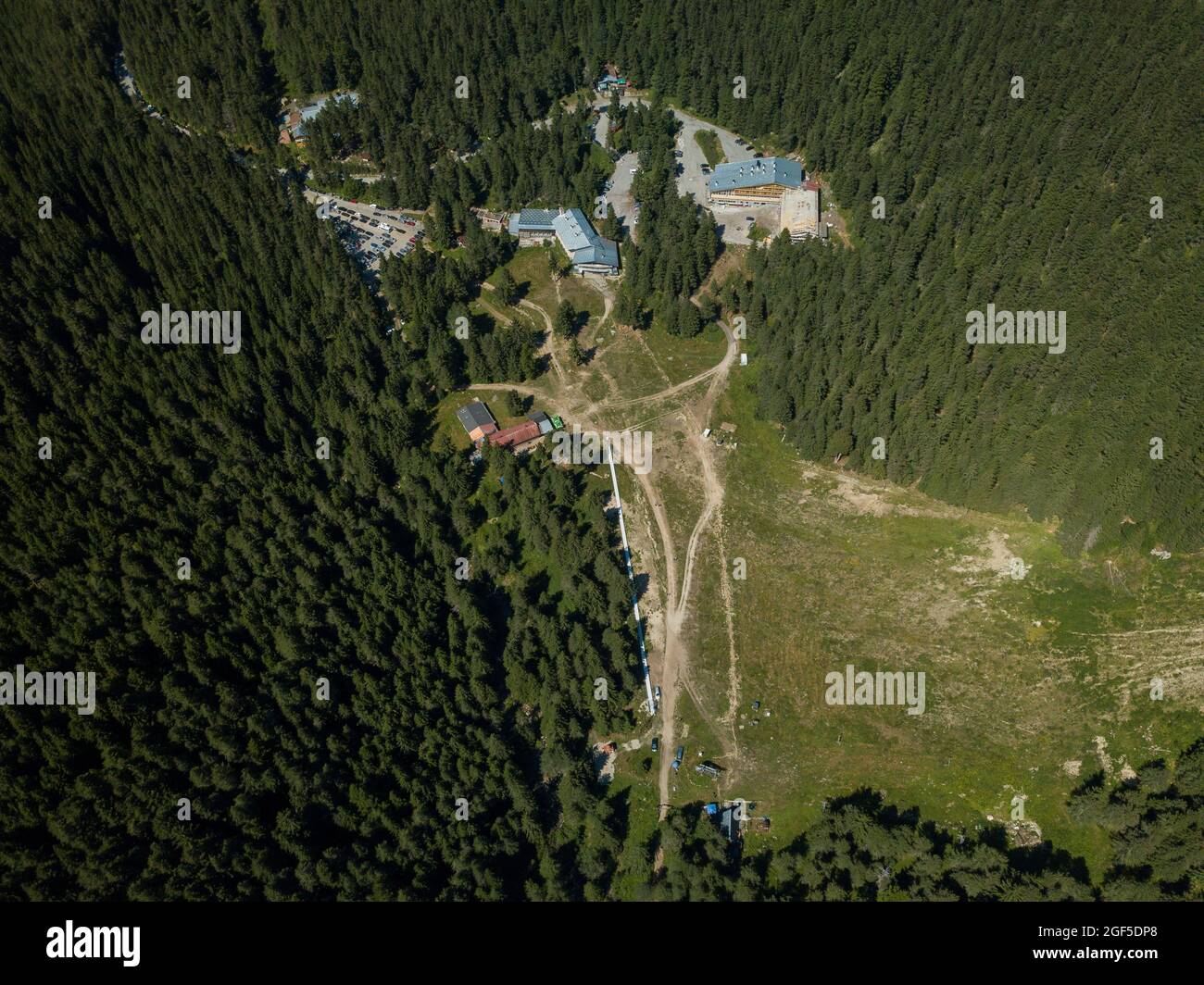 Top view of cottages, cars, and trails surrounded by lush green forest ...