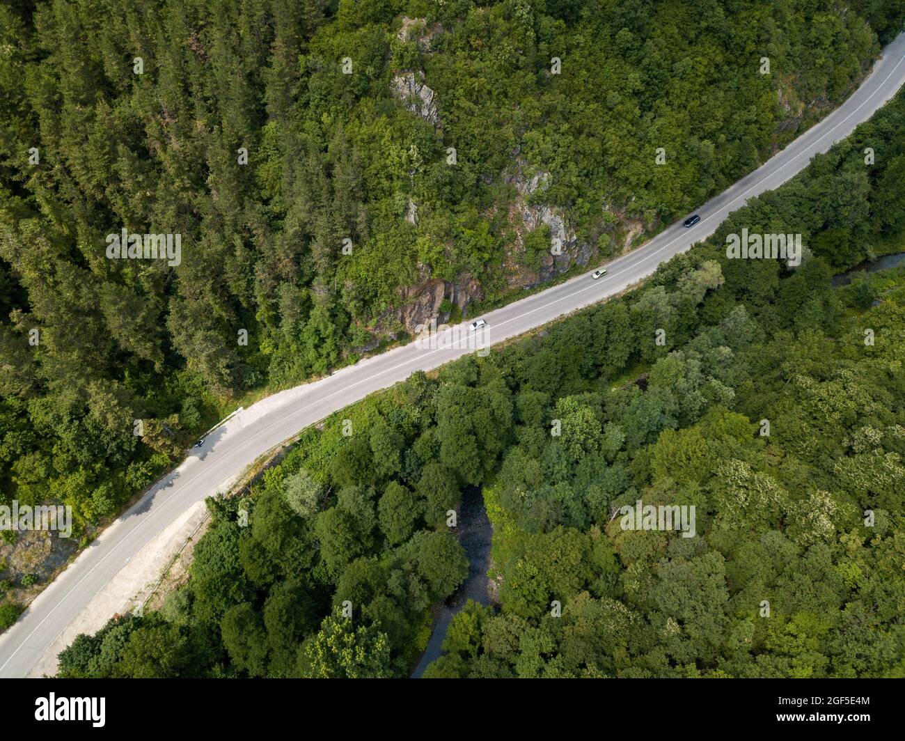 Top view of a country road surrounded by lush green forest Stock Photo ...