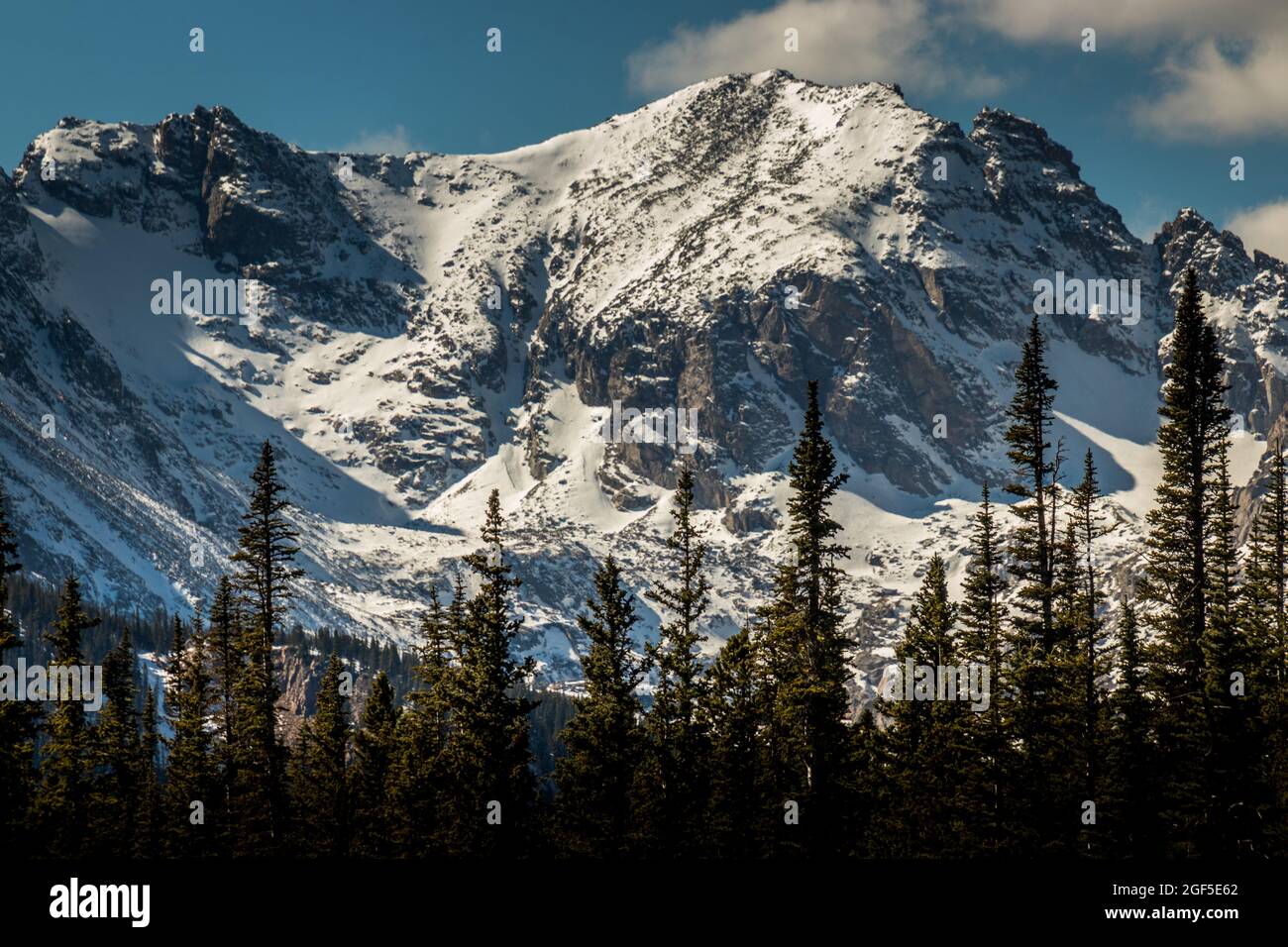 Landscape with trees and a mountain in the background hi-res stock ...