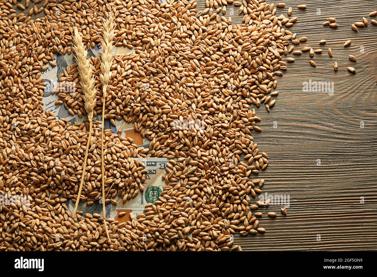 Dollar symbol made from wheat grain, close-up Stock Photo - Alamy