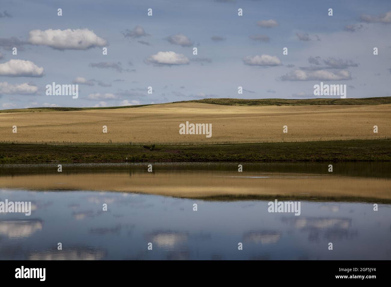 Green and brownfield with its reflection on the lake Stock Photo - Alamy