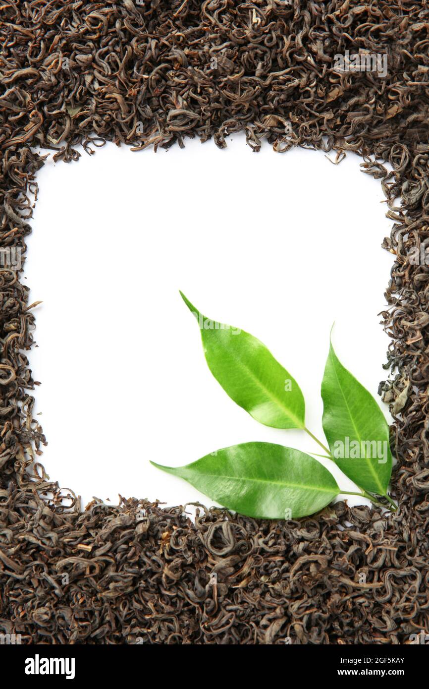 Frame of dry tea with green leaves on white background Stock Photo - Alamy
