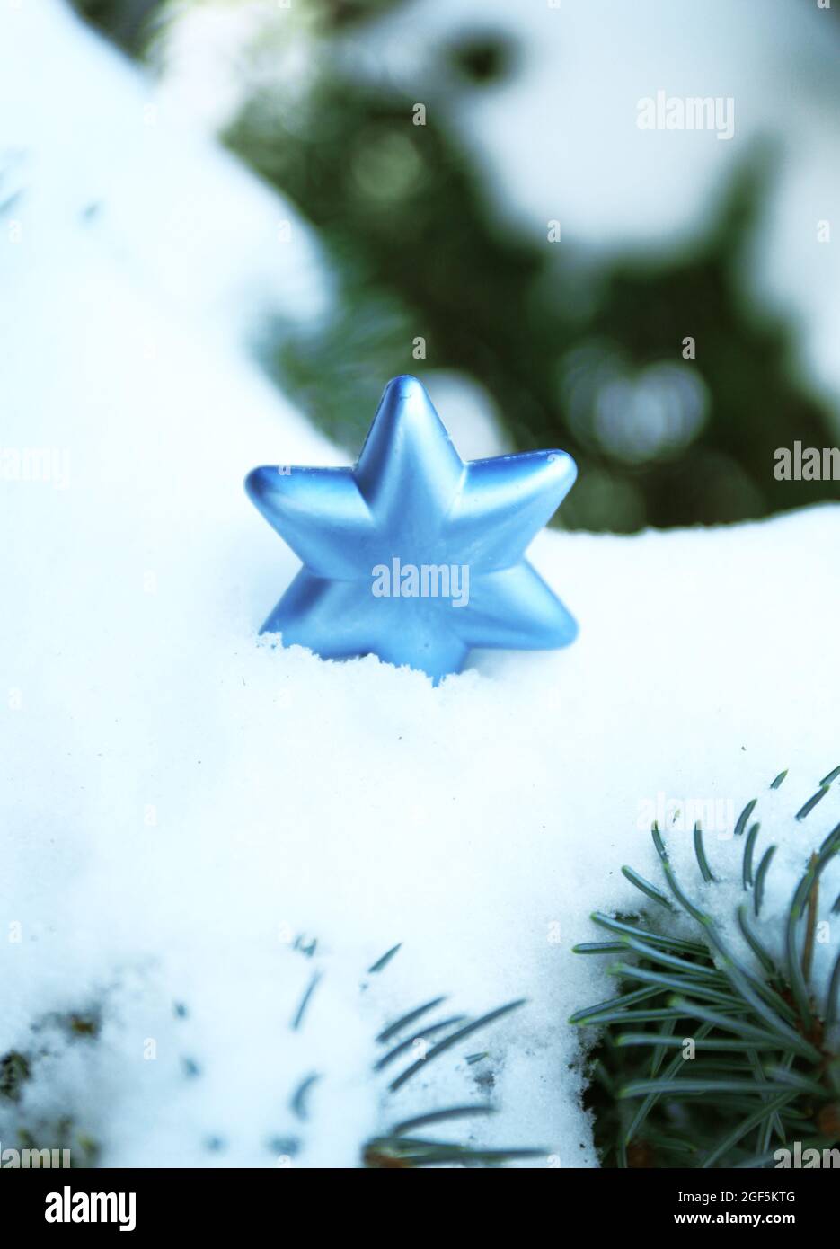 Christmas blue star on a snowy fir tree branch Stock Photo - Alamy