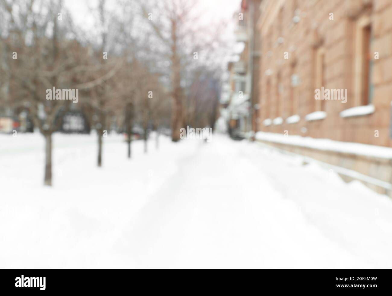 Snowy alley, abstract background Stock Photo - Alamy