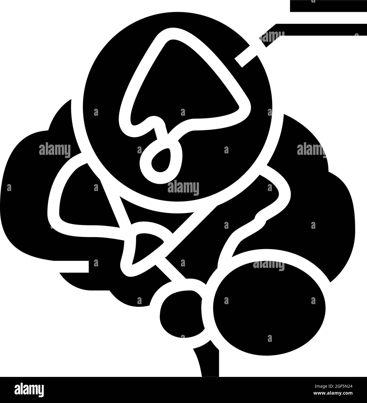 Hypothalamus Endocrinology Glyph Icon Vector Illustration Stock Vector