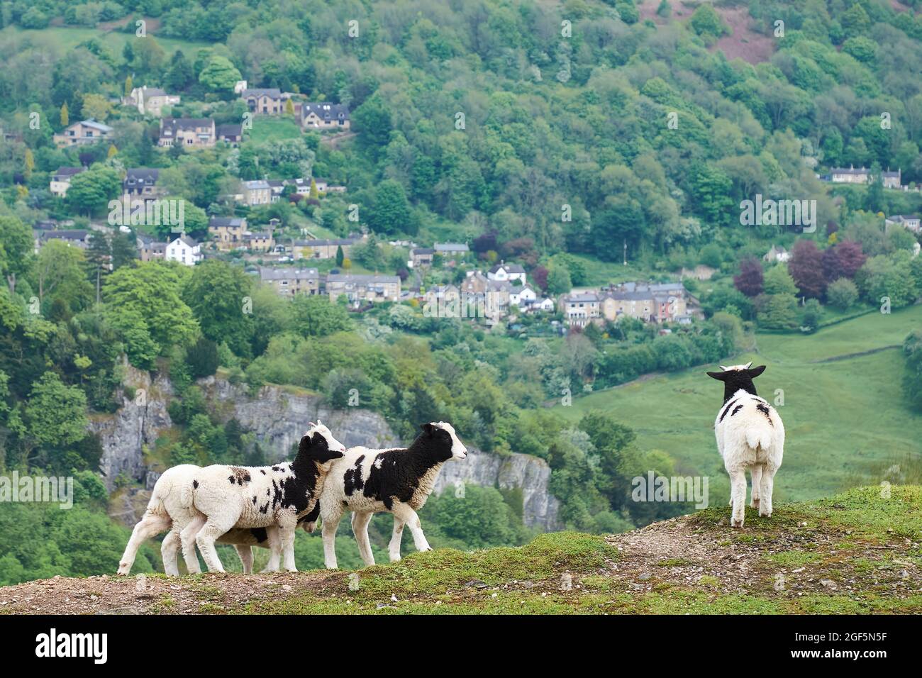 Jostling For Position High Resolution Stock Photography and Images - Alamy